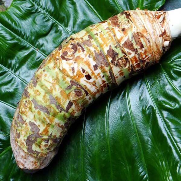 Vegetables & Fruits - Endeavour International